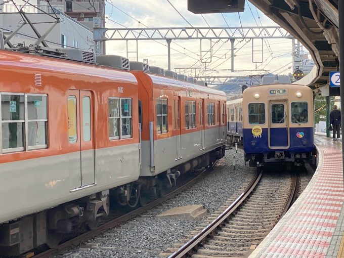 阪神電鉄 阪神5001形電車 5013 御影駅 (兵庫県|阪神) 鉄道フォト・写真 by すいか1万個さん | レイルラボ(RailLab)