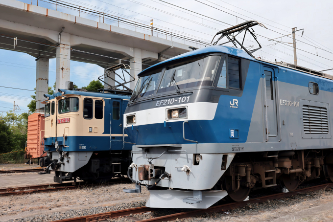 JR貨物EF210形電気機関車 EF210-101 岡山機関区 鉄道フォト・写真 by こやじじいさん | レイルラボ(RailLab)