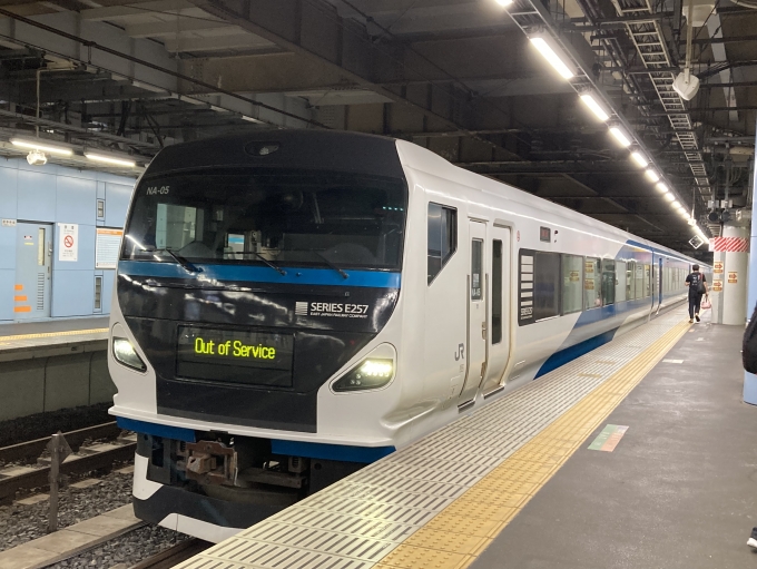 JR東日本E257系電車 クハE256-2006 品川駅 (JR) 鉄道フォト・写真 by ヨー感さん | レイルラボ(RailLab)