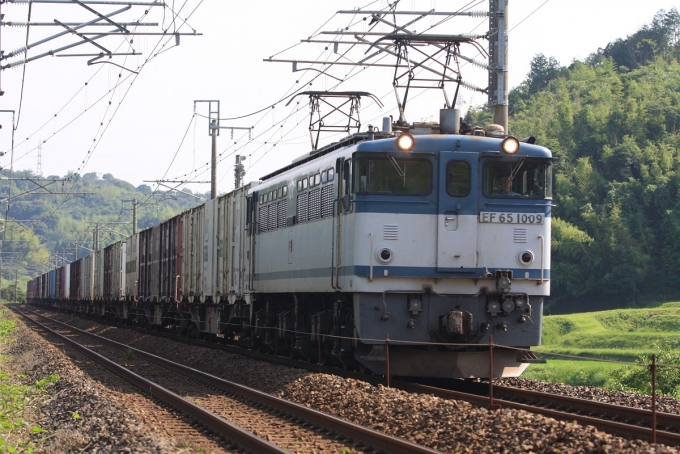 JR貨物 国鉄EF65形電気機関車 EF65-1009 厚狭～埴生 鉄道フォト・写真 by イプチャーさん | レイルラボ(RailLab)