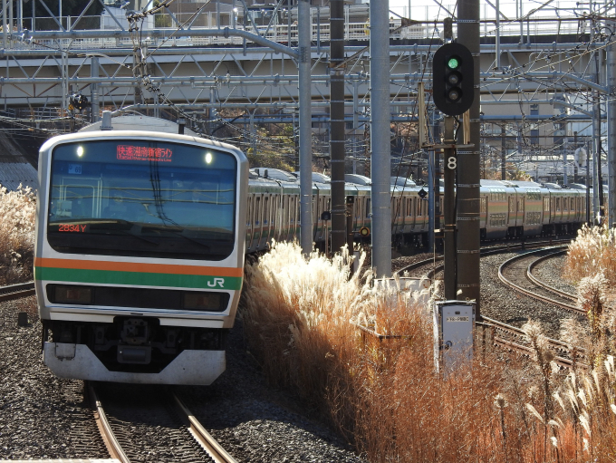 JR東日本E231系電車 クハE231-8028 東戸塚駅 鉄道フォト・写真 by 鉄レコさん | レイルラボ(RailLab)