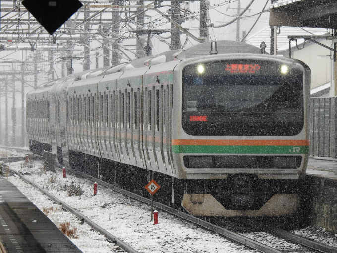 JR東日本E231系電車 雀宮駅 鉄道フォト・写真 by 鉄レコさん | レイルラボ(RailLab)